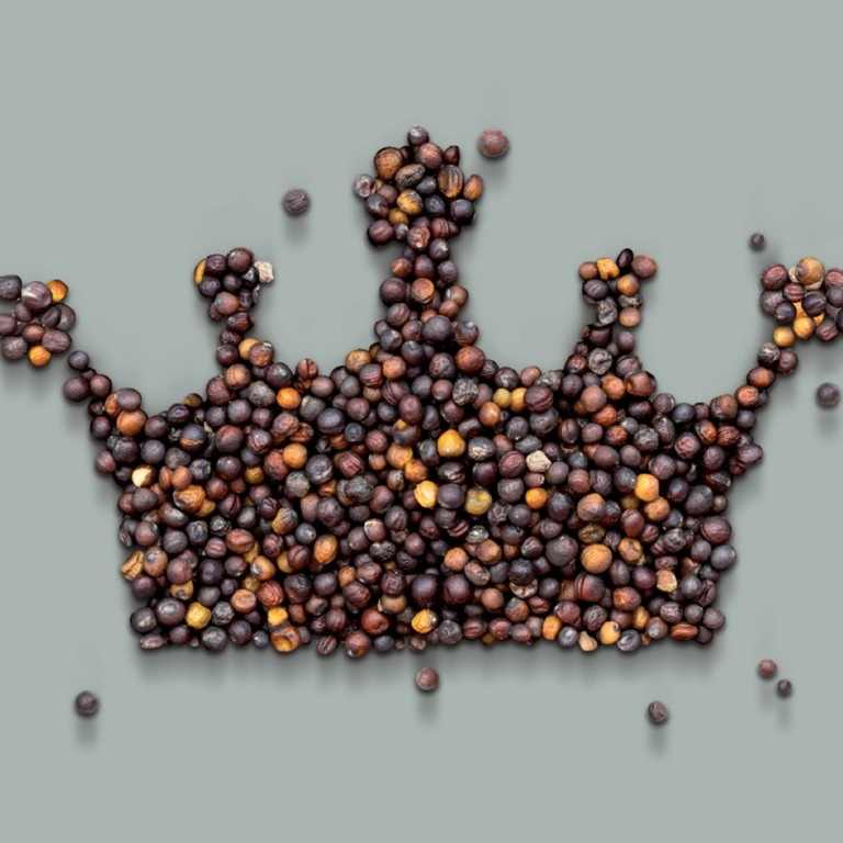 UMBERTO KWS - Ziemas rapsis- KWS SAAT SE & Co. Kafa