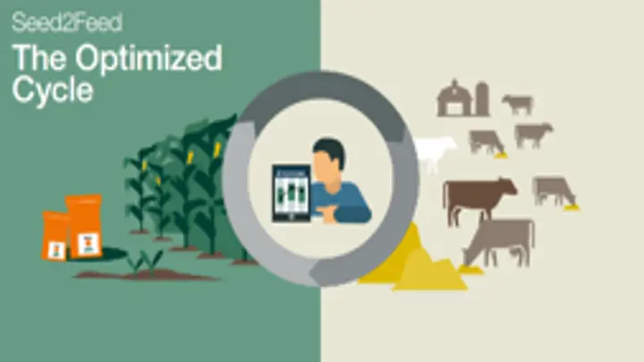 Maïs - Producten- KWS Benelux B.V.