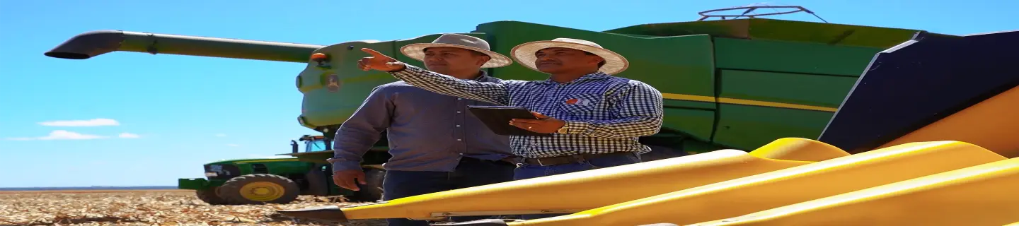KWS Sementes - Semeando o futuro desde 1856– KWS SAAT SE & Co. KGaA