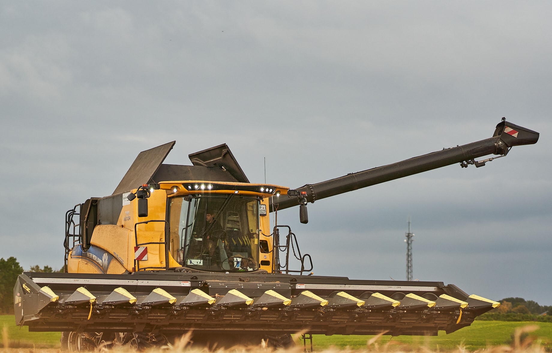 Koppelnutzung von Körnermais und Maisstroh - KWS SAAT | kws.de