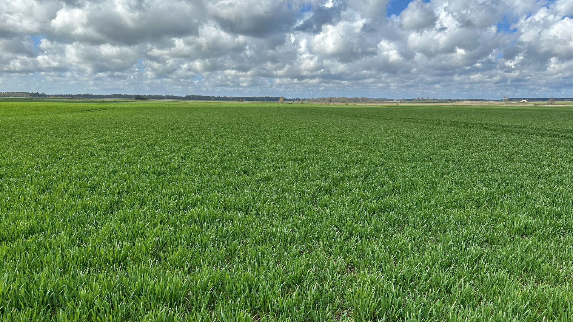 BlickPunkt | Betriebsbericht: Ackern in Lettland - KWS SAAT | kws.de