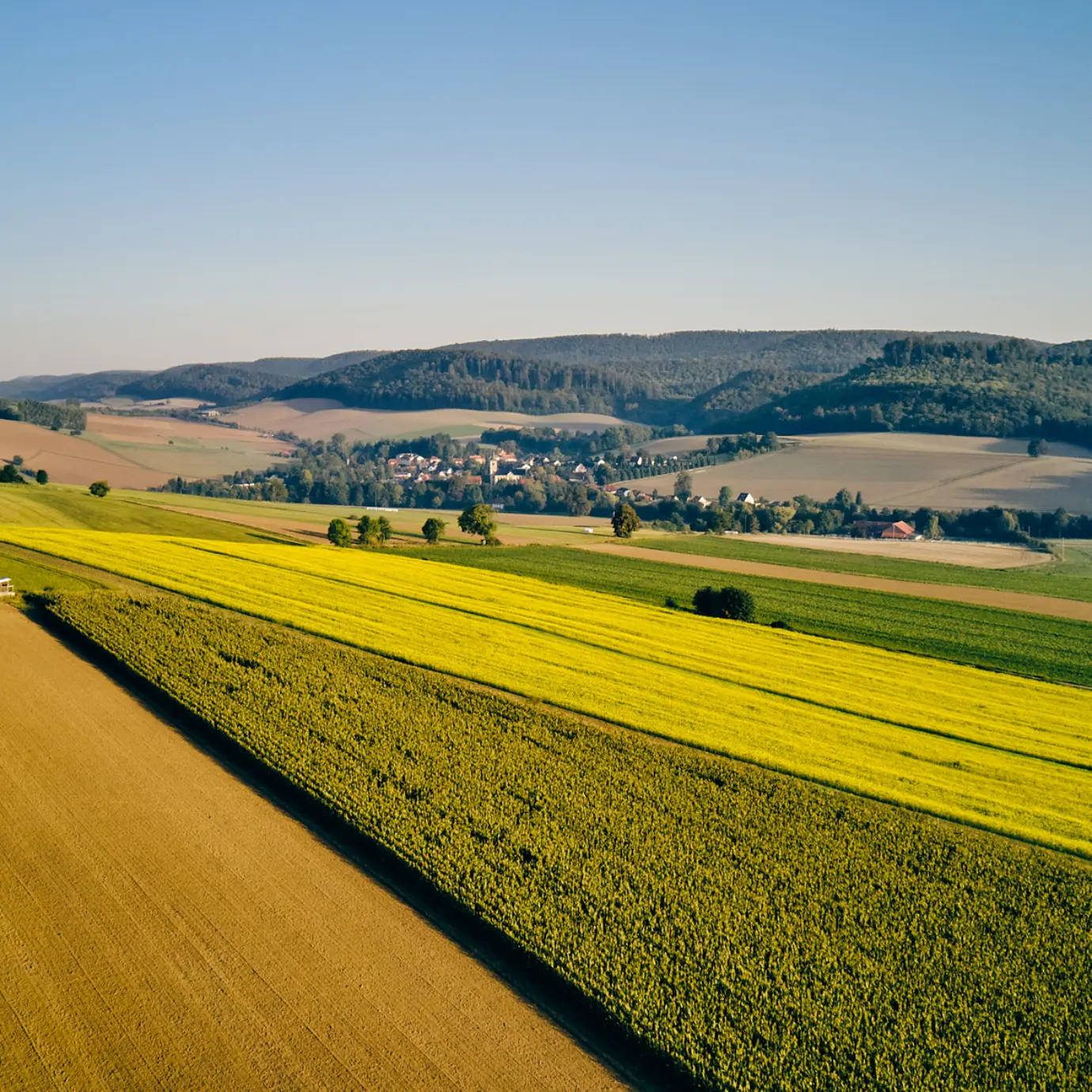 Saatgut - Beratung - KWS SAAT | kws.de