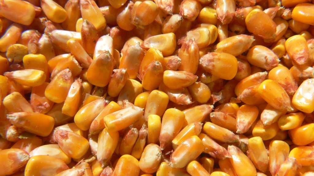 KWS SAAT SE & Co. KGaA - Seeding the future- KWS SAAT SE & Co. KGaA