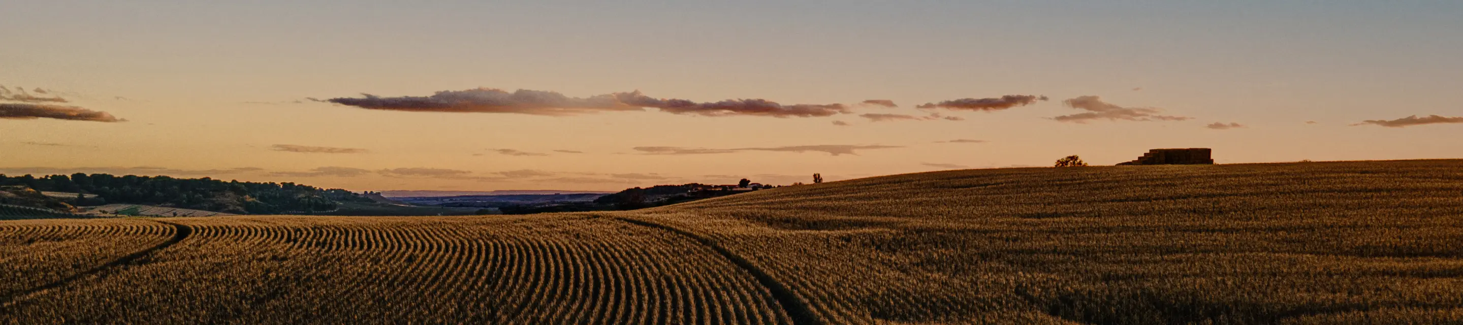 KWS – СОЗДАЁМ БУДУЩЕЕ С 1856 ГОДАKWS в России