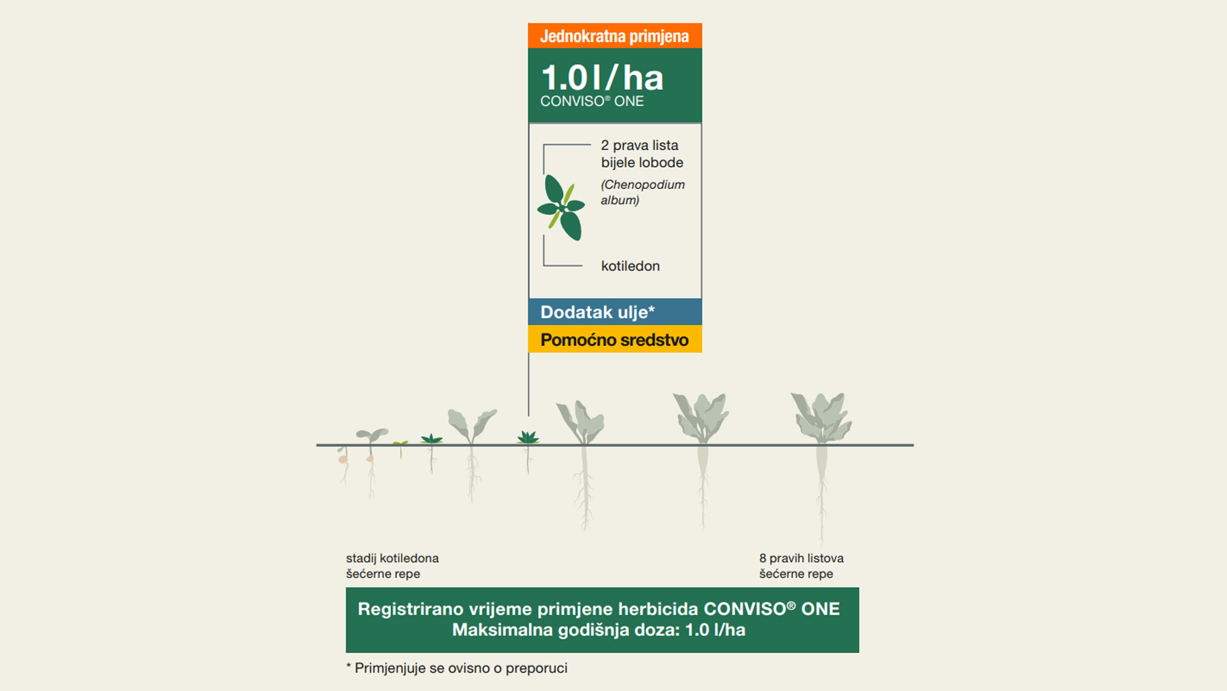 CONVISO® SMART – Šećerna repa – Proizvodi- KWS SAAT SE & Co. KGaA