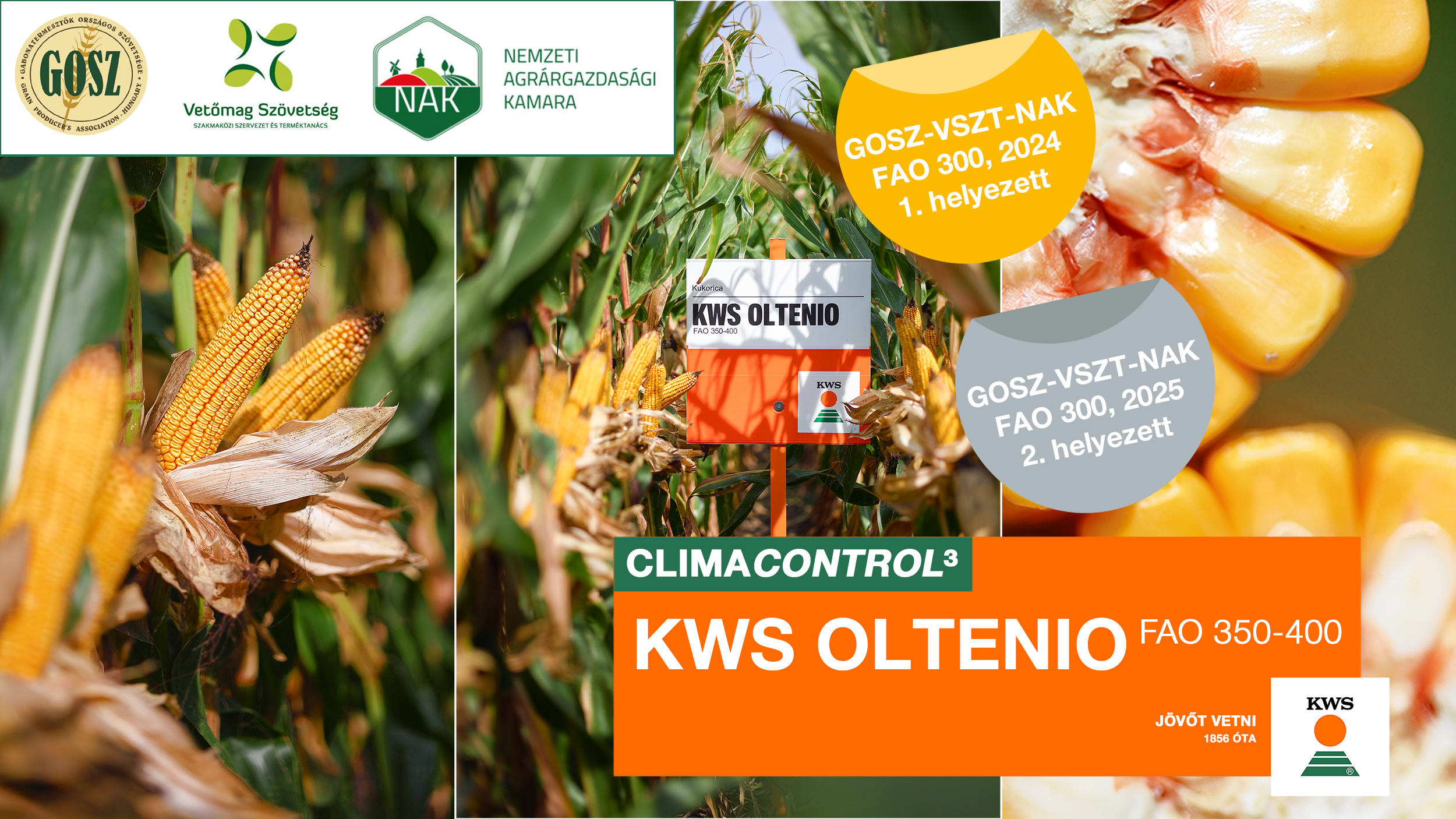 - KWS SAAT SE & Co. KGaA
