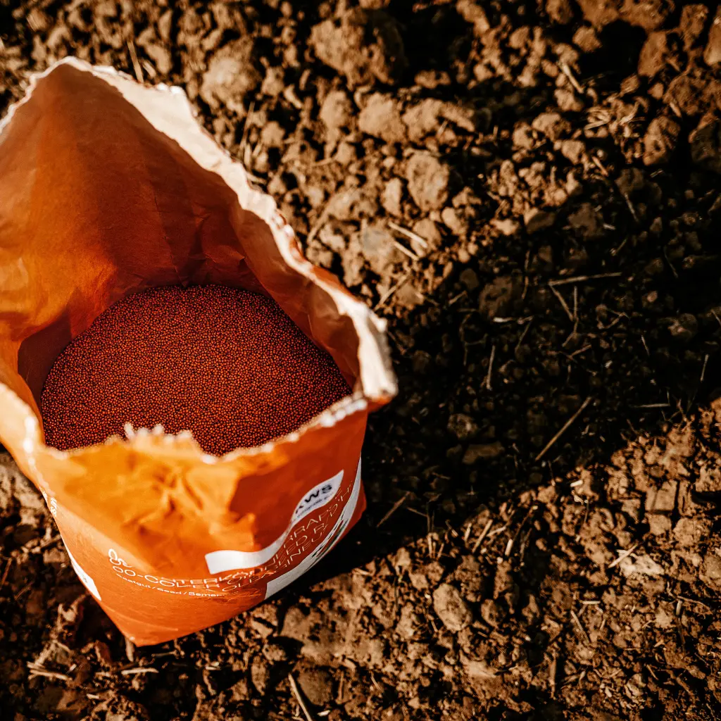 Solutions - KWS SAAT SE & Co. KGaA