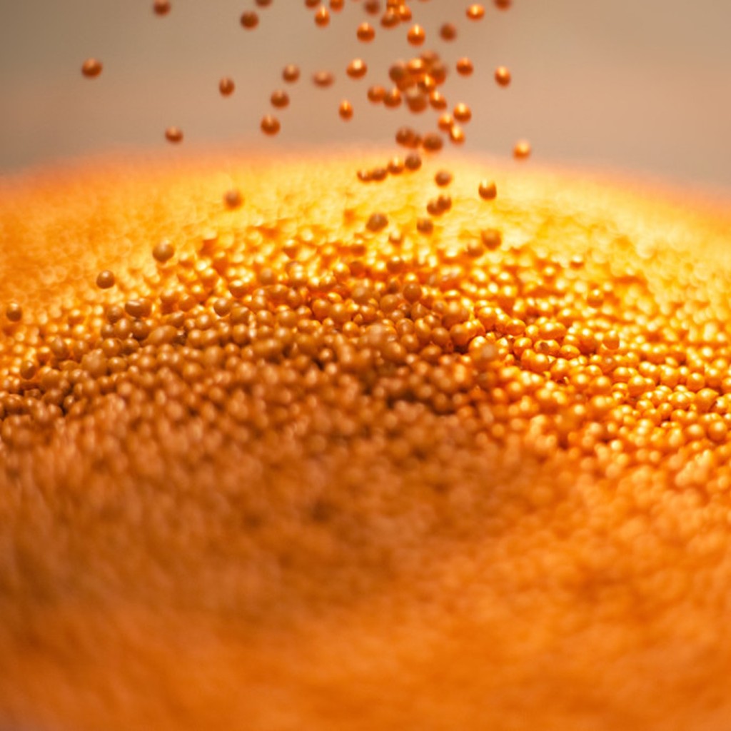 KWS INSPIRATOR — KWS Seeds Canada