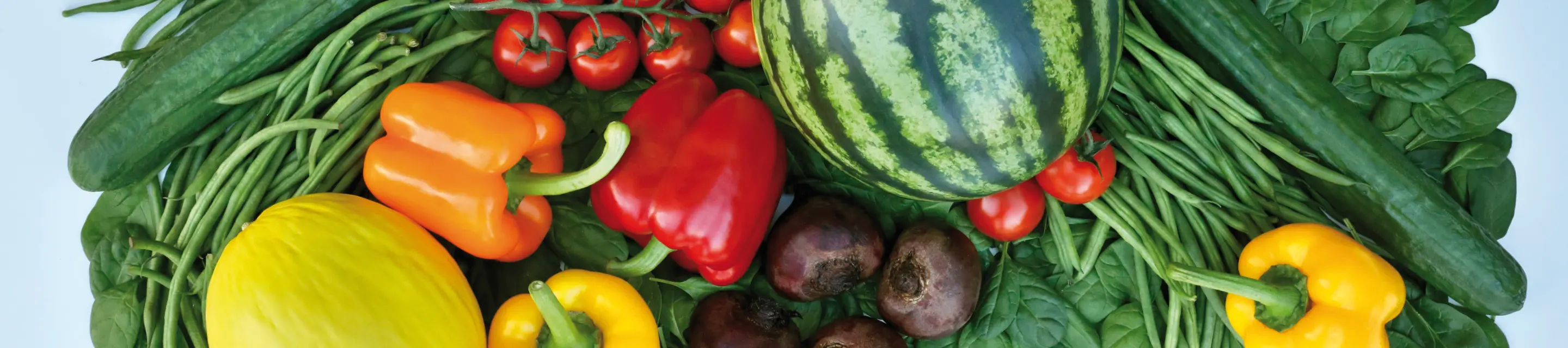 KWS Sementes - Semeando o futuro desde 1856– KWS SAAT SE & Co. KGaA