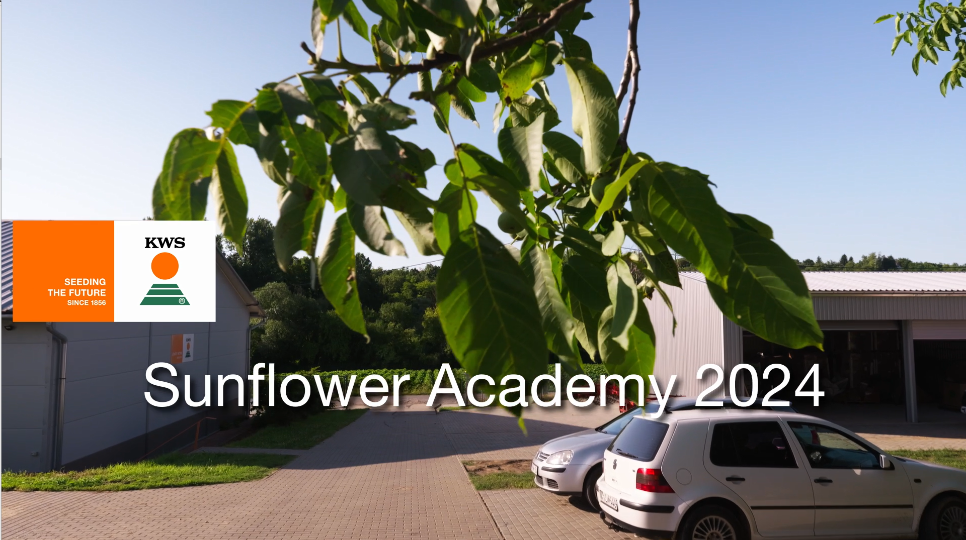 Our first Sunflower Academy- KWS SAAT SE & Co. KGaA