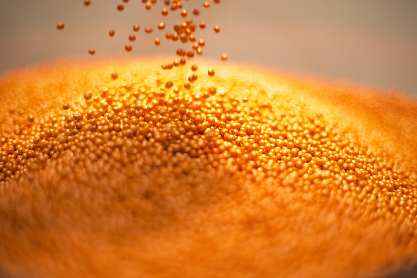 Producten- KWS Benelux B.V.