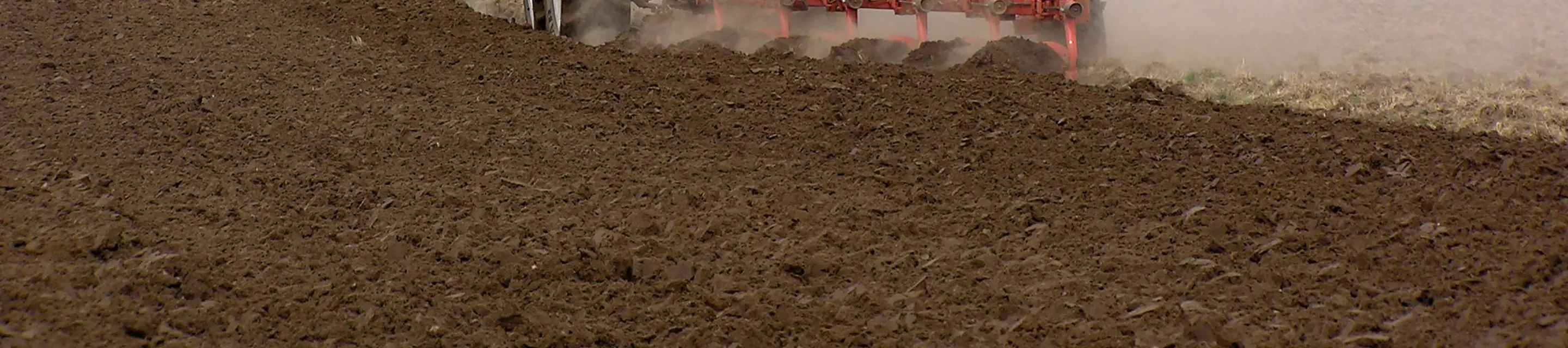 Raps - Bodenbearbeitung - Aussaat - Beratung - KWS SAAT SE & Co. KGaA