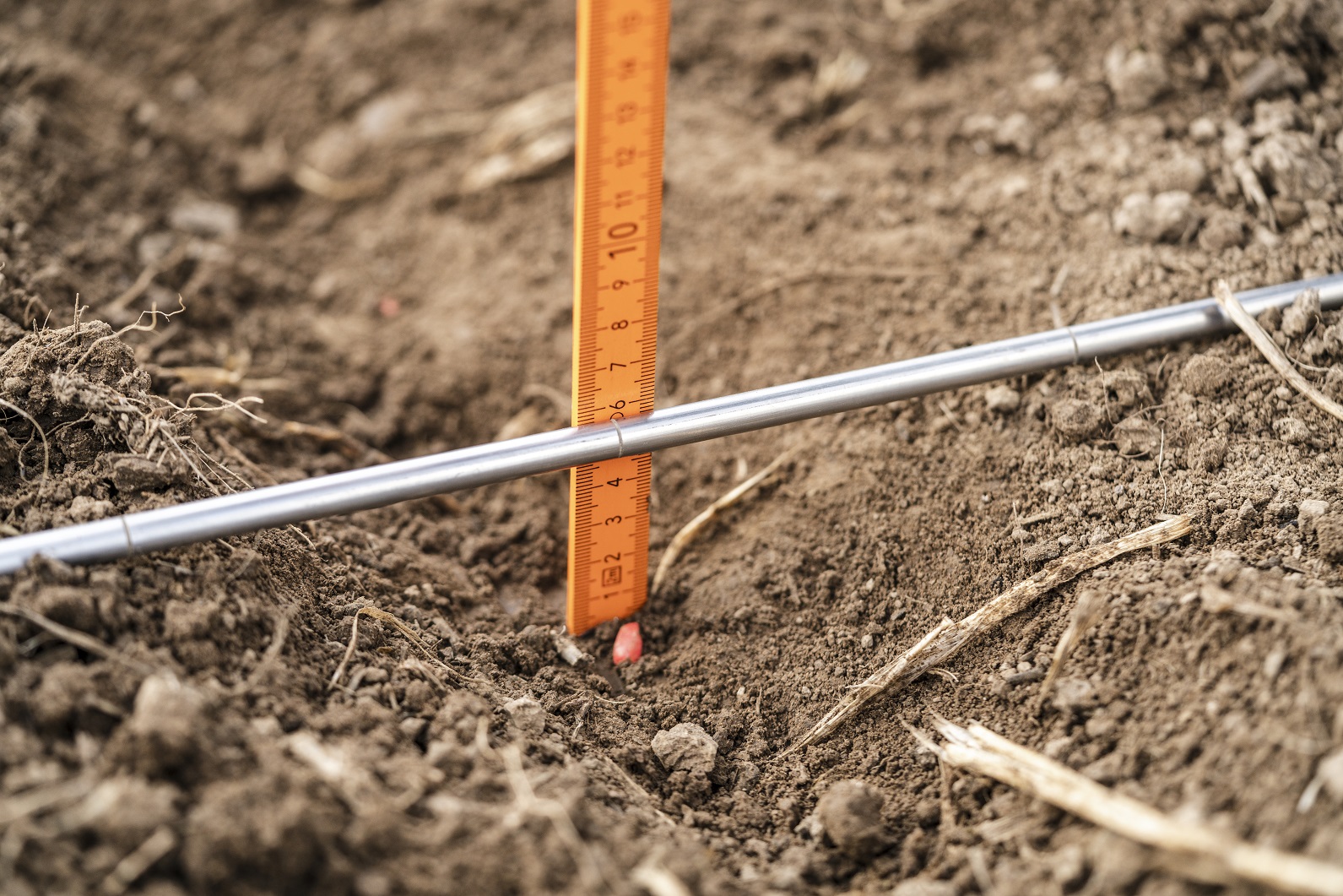 Maisaussaat | Saattiefe Mais und weitere Tipps - KWS SAAT | kws.de