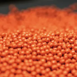 SEEDING THE FUTURE - KWS SAAT SE & Co. KGaA