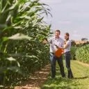 Top Hybrid Rye UK varieties - Cereals - Products- KWS UK Ltd.