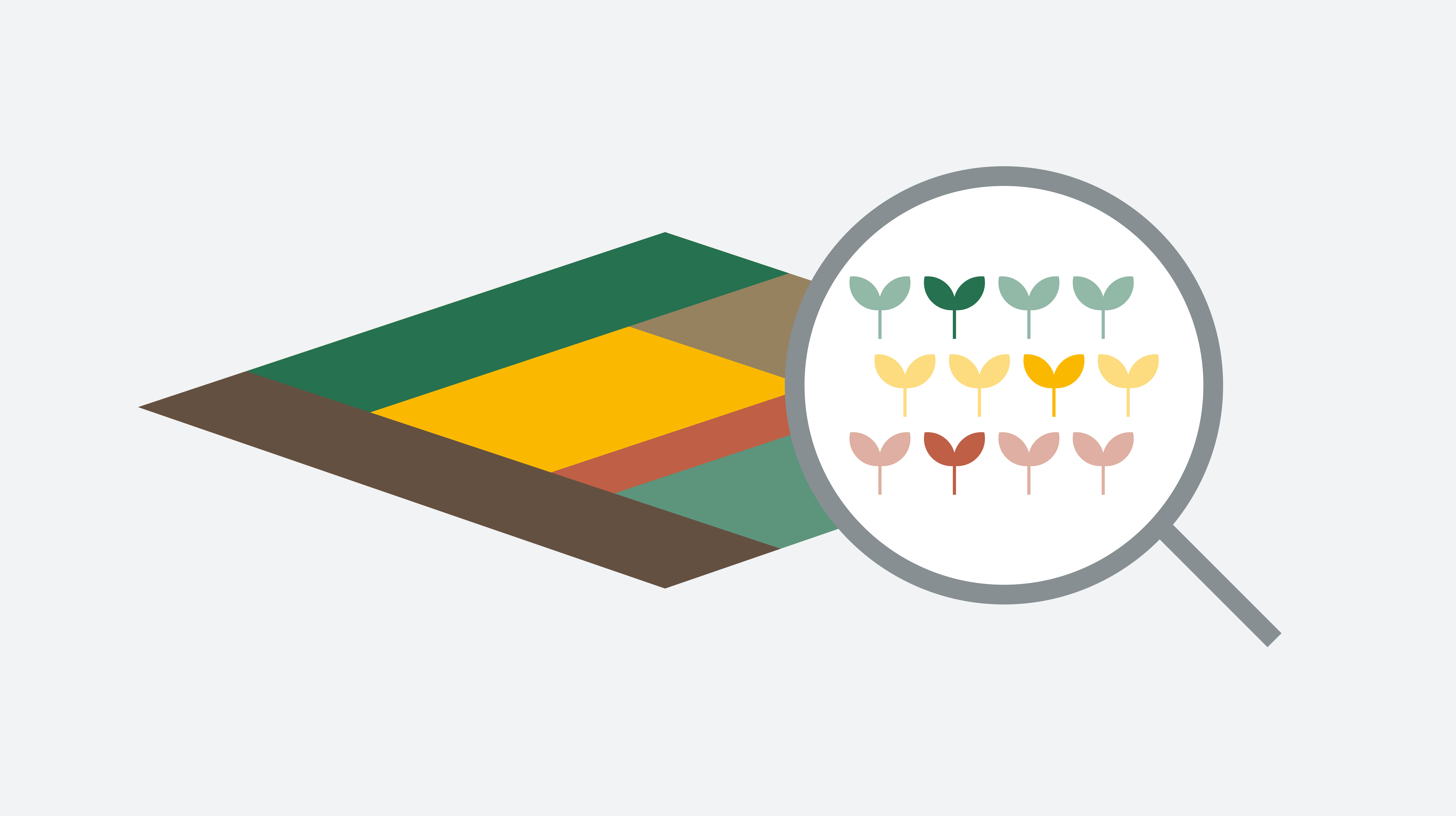 Digital phenotyping - Breeding methods - Innovation - KWS SAAT SE & Co ...