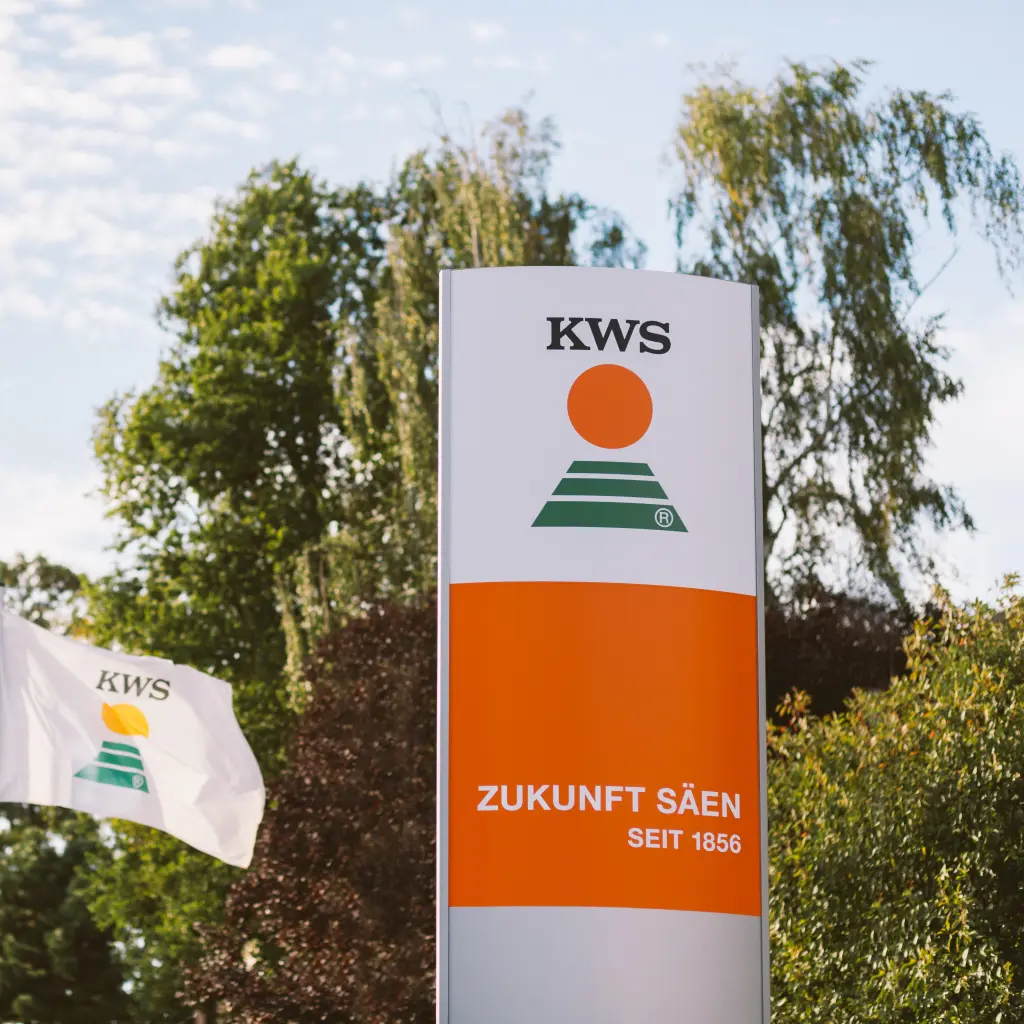 Засяване на бъдещето със семена KWS- KWS SAAT SE & Co. KGaA