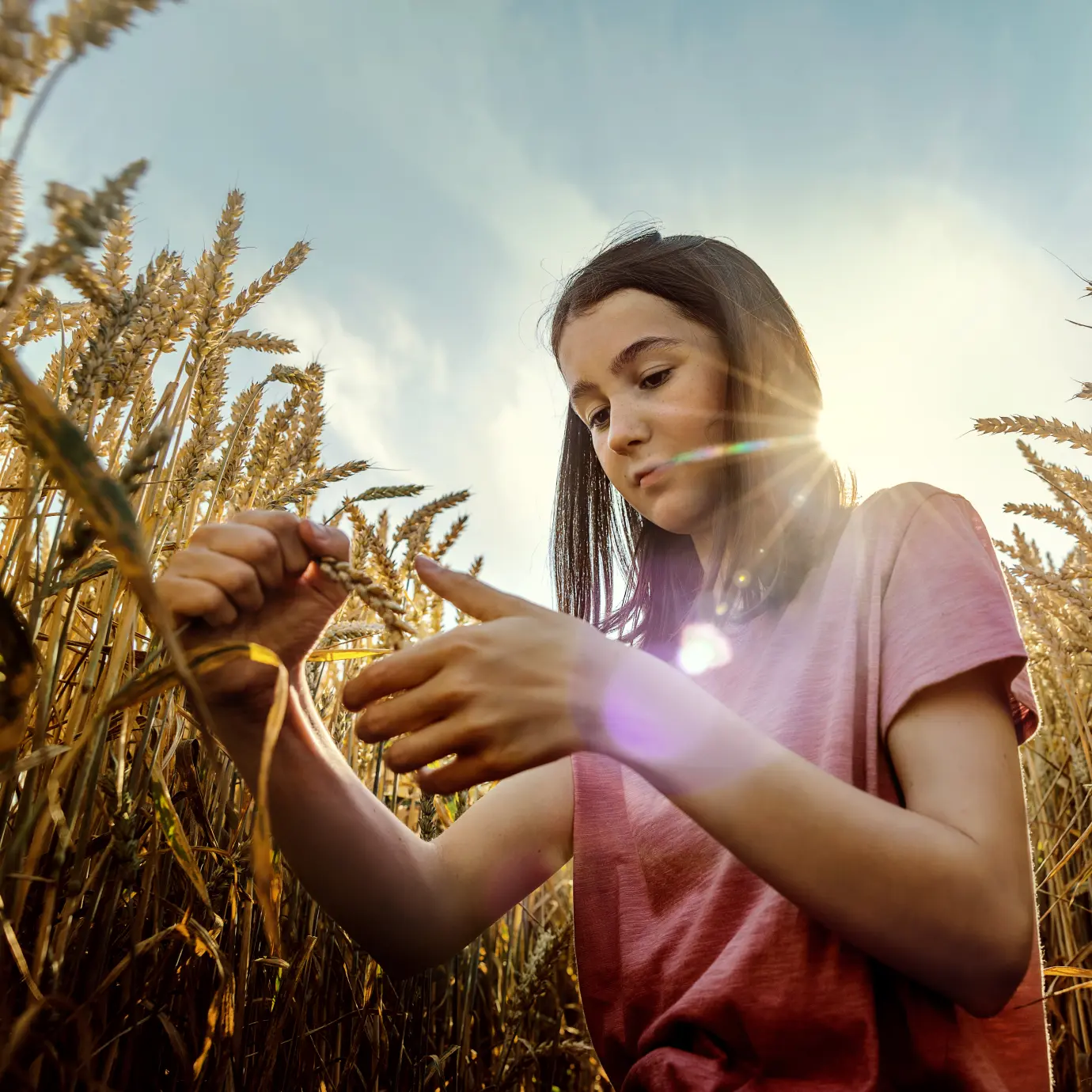 Métodos de trabajo del suelo - Laboreo - Siembra - Consultoría- KWS ...