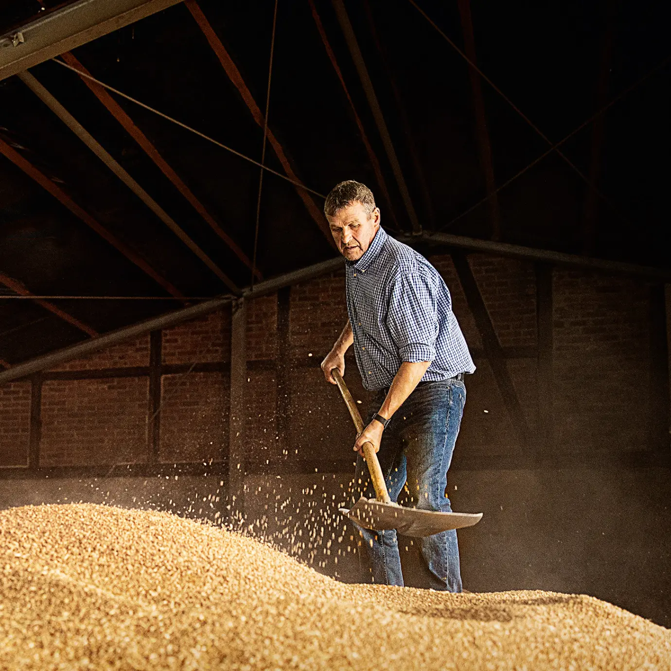 DIE ZUKUNFT SÄEN - KWS SAAT SE & Co. KGaA