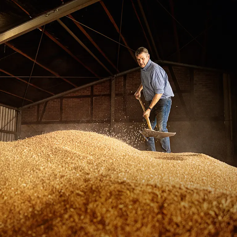 SEEDING THE FUTURE - KWS SAAT SE & Co. KGaA