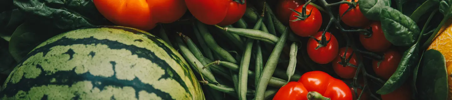 SEEDING THE FUTURE - KWS SAAT SE & Co. KGaA