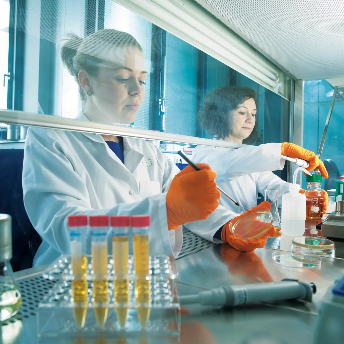 Innovation - KWS SAAT SE & Co. KGaA