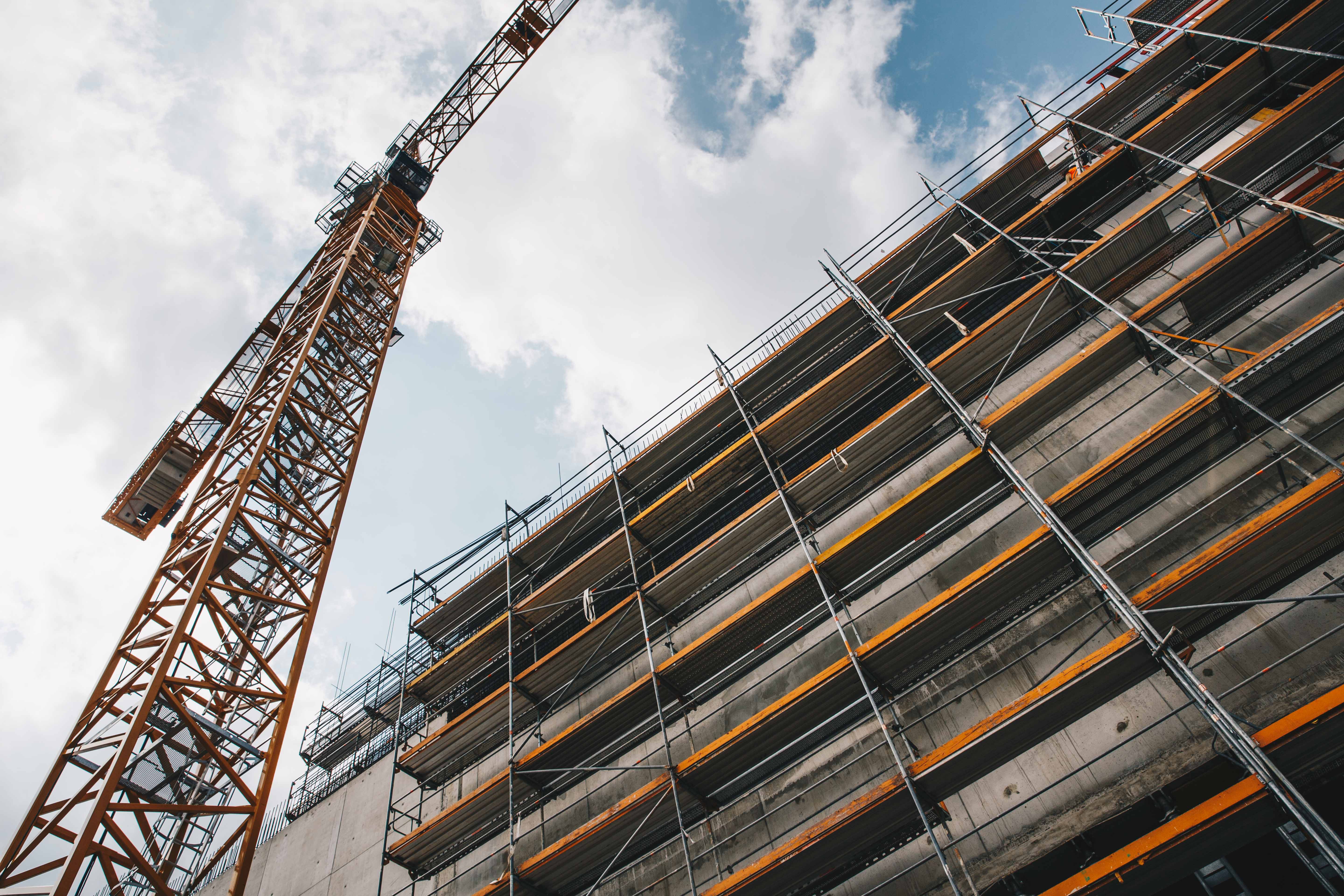 KWS renews offer for Bayer AG’s vegetable seed business - Press ...