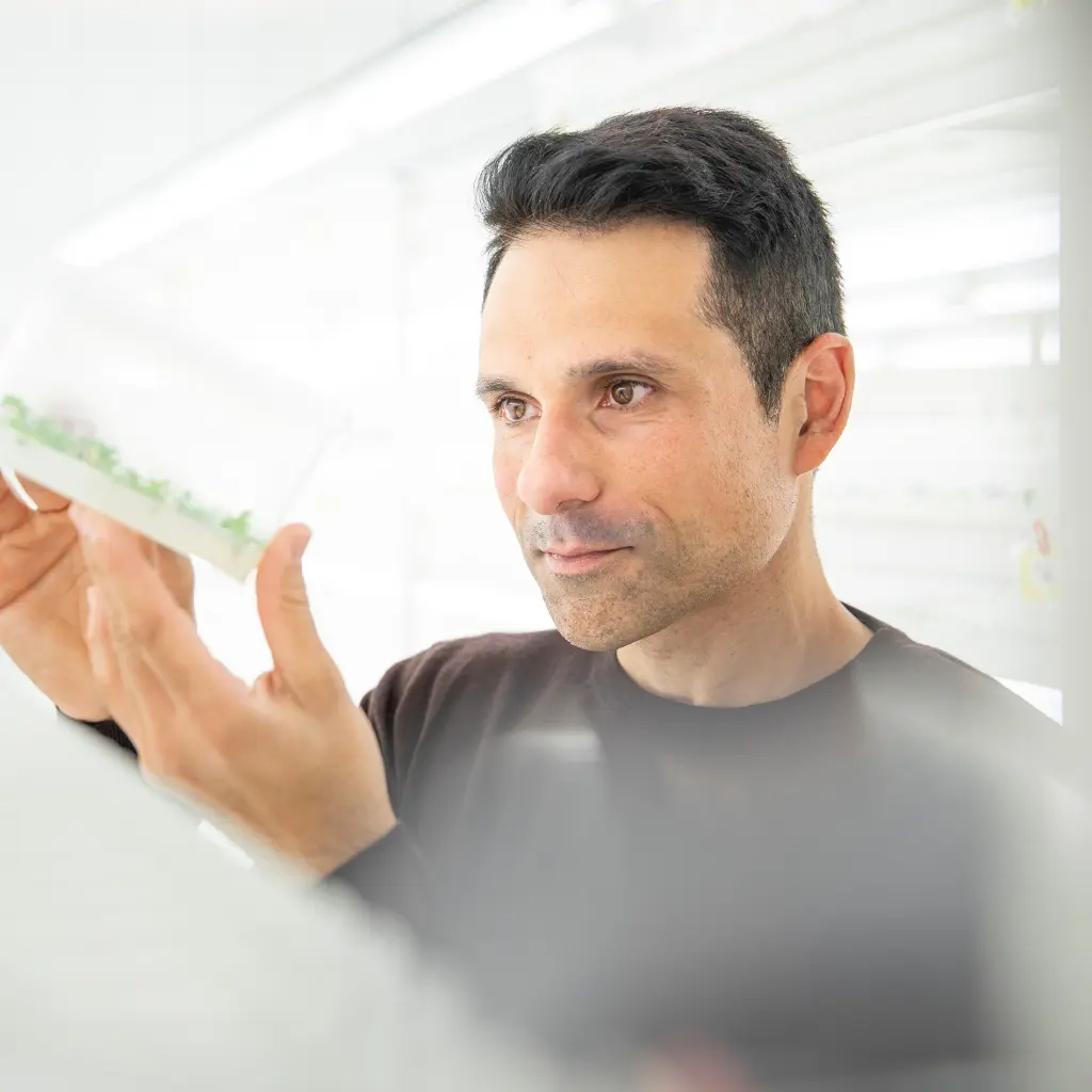 Careers - KWS SAAT SE & Co. KGaA