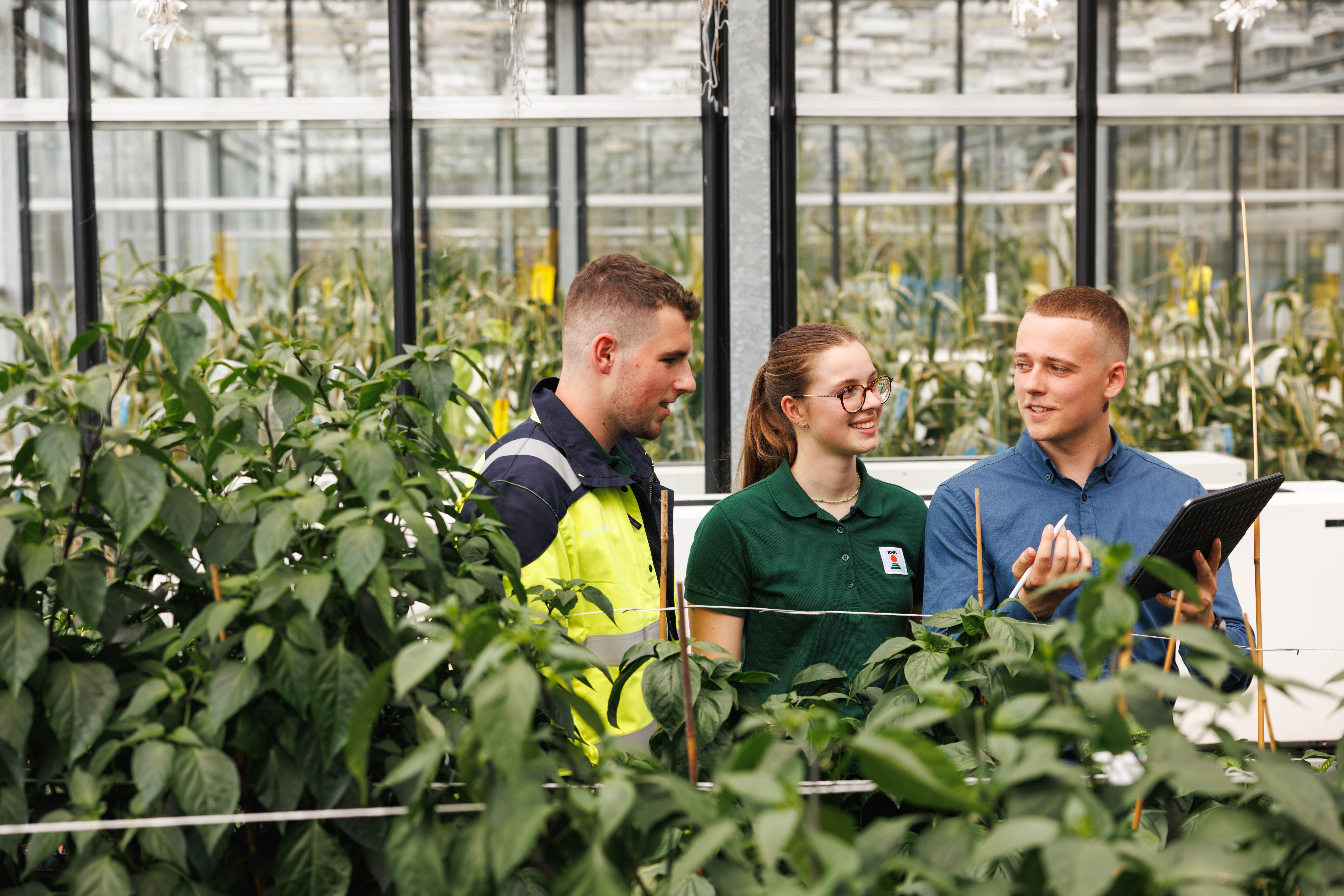 Ausbildung bei KWS - KWS SAAT | kws.de