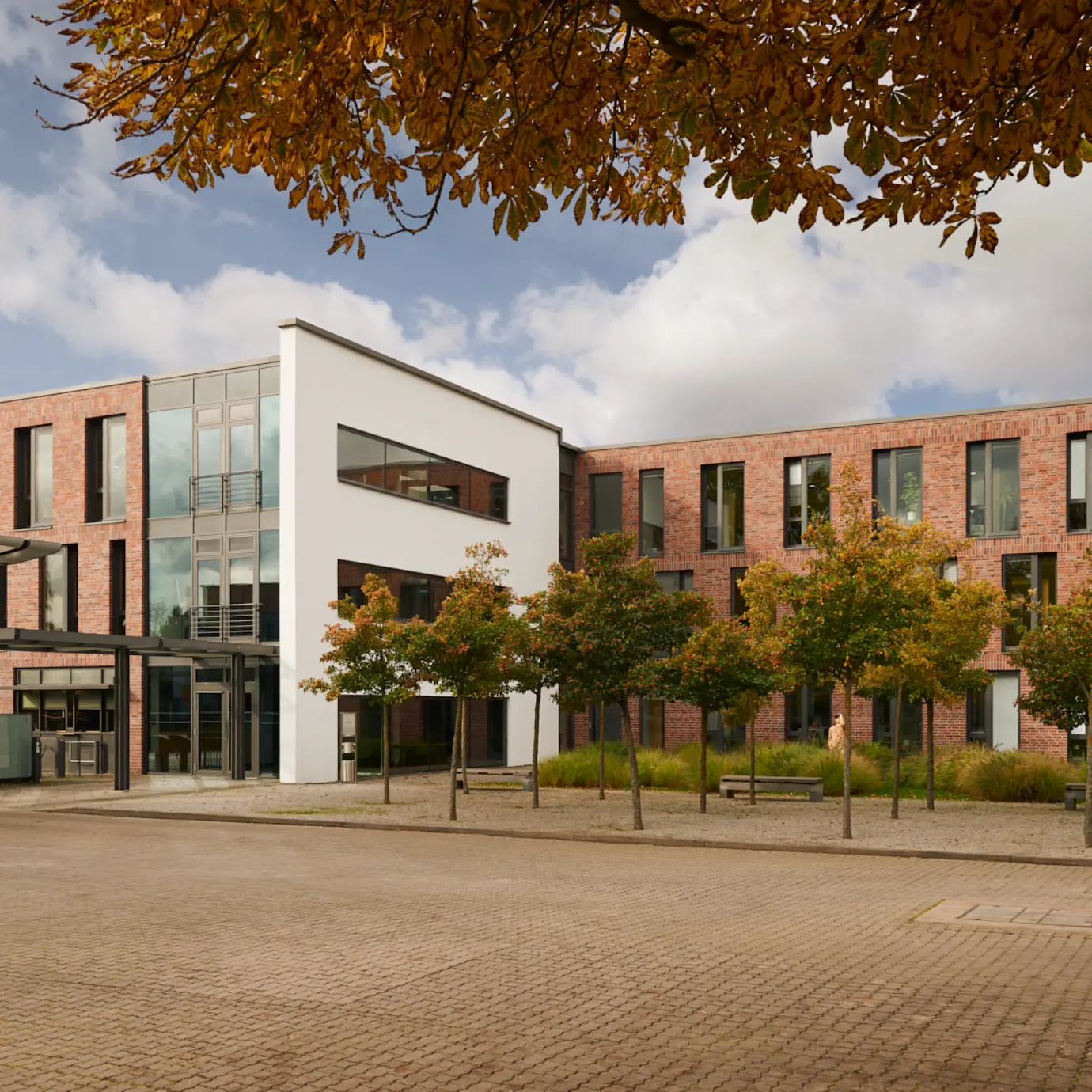 Company - KWS SAAT SE & Co. KGaA