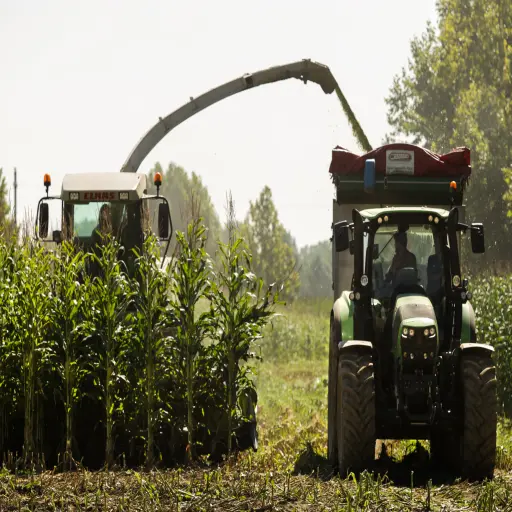 Betteraves à sucre – Densité de semis – Semis – Expertises - KWS ...