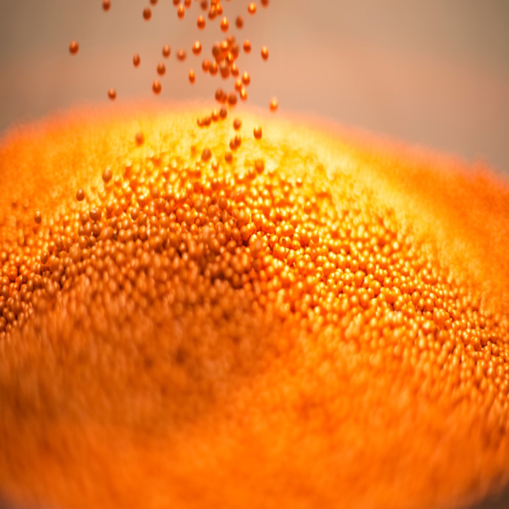 - KWS SAAT SE & Co. KGaA