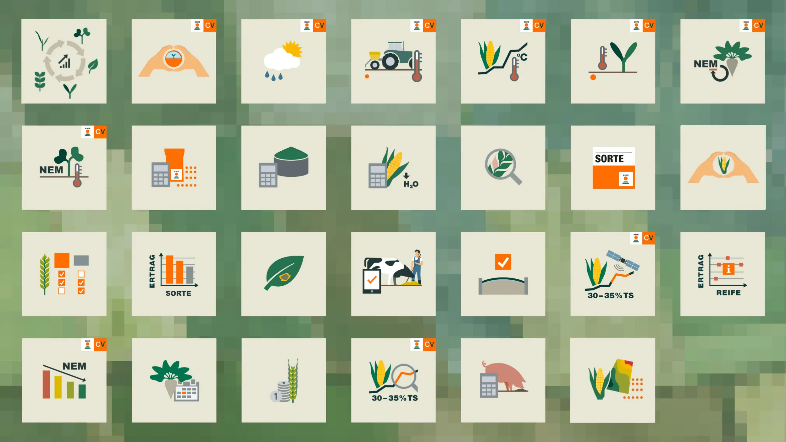 KWS SAAT - Zukunft säen - KWS SAAT SE & Co. KGaA